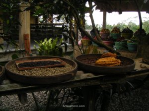 KOPI LUWAK, EL CAFÉ BALINÉS – Al Was Here